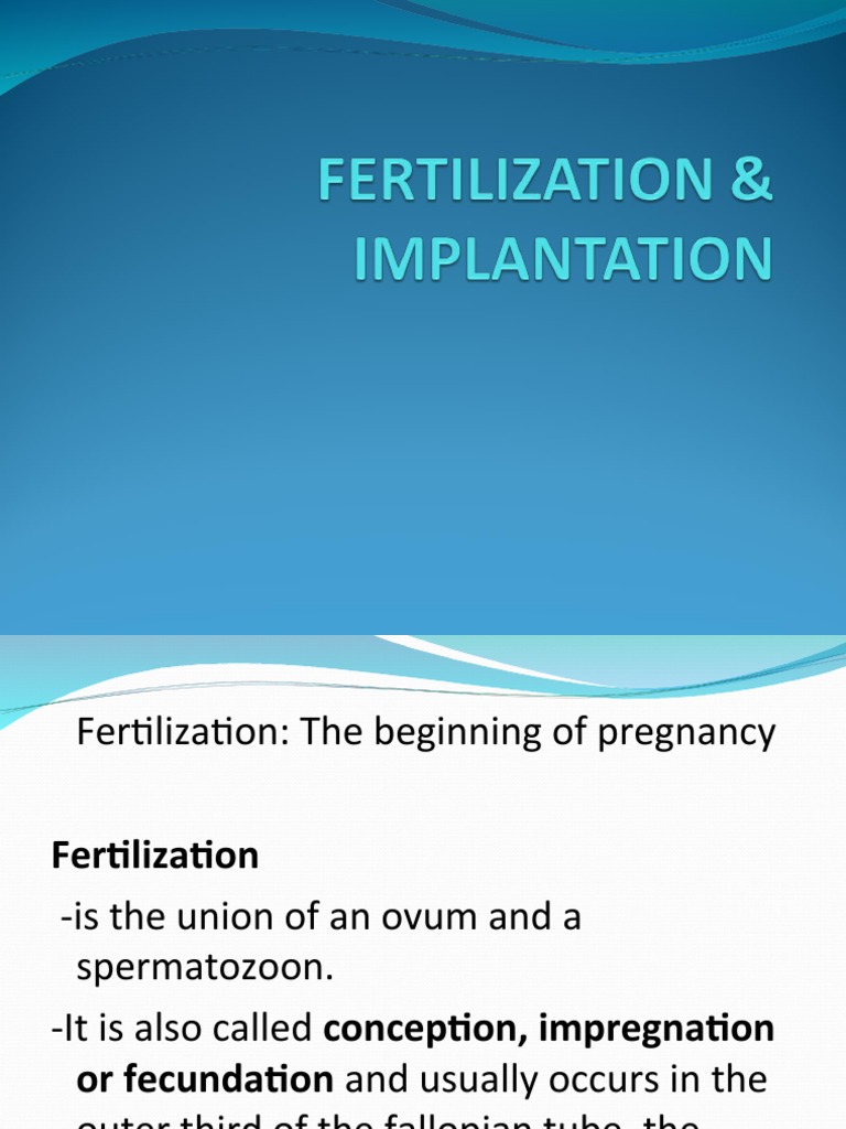 Fertilization and Early Embryonic Development: A Comprehensive Overview ...