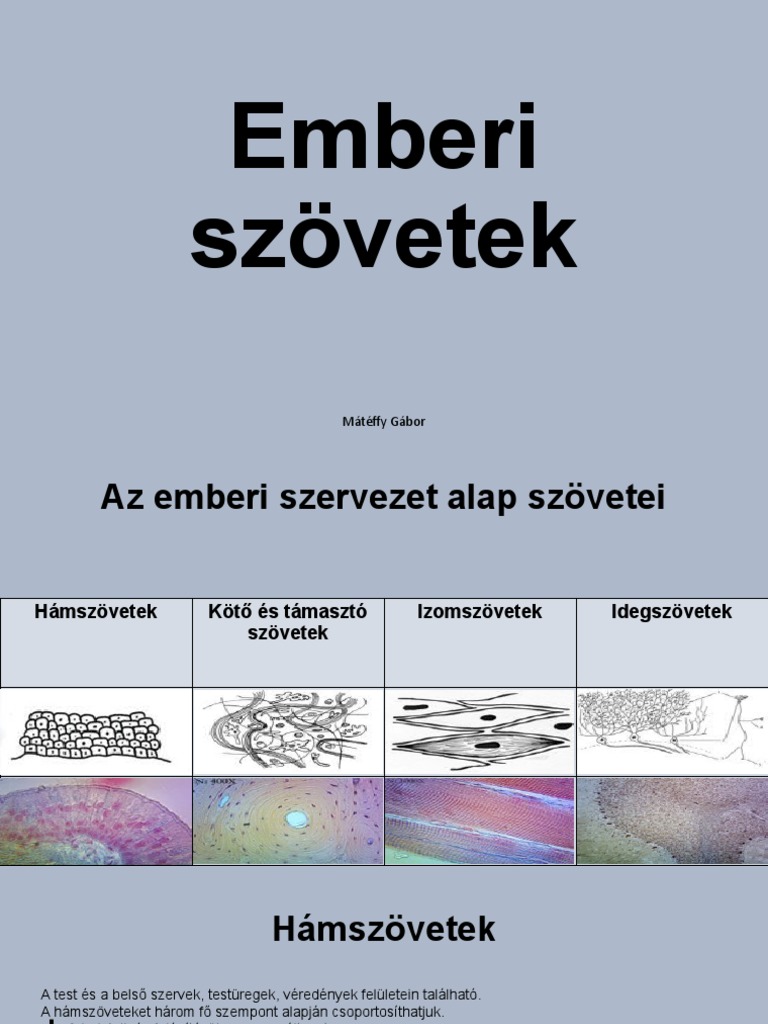 Emberi Szövetek | PDF