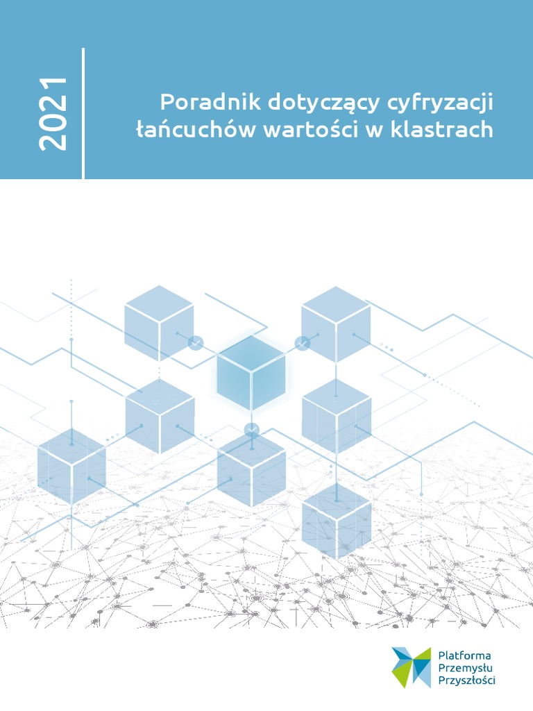 2021 FPPP Raport Poradnik Dotyczacy Cyfryzacji | PDF