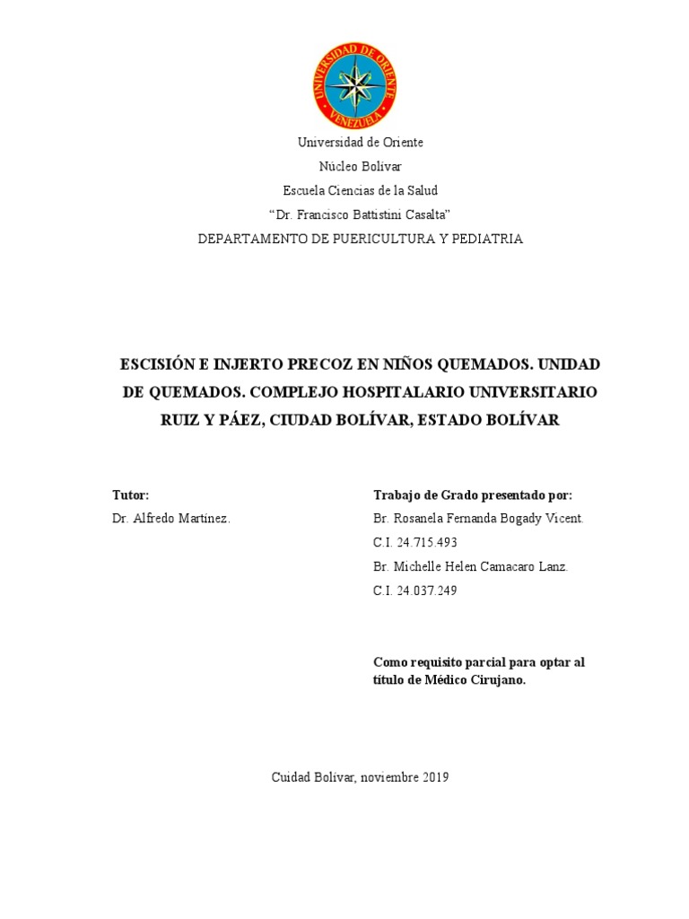 TESIS ESCISION E INJERTO - Bogady-Camacaro | PDF | Piel | Epidermis