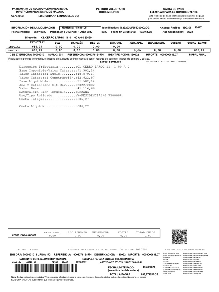 Carta de Pago | PDF | Bancos | Economias
