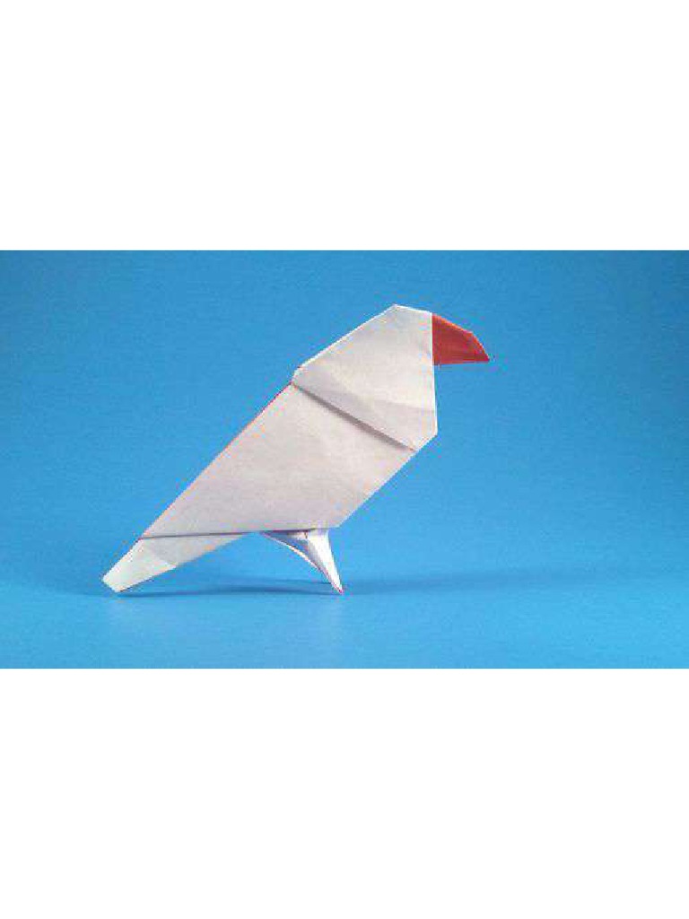 P Java Sparrow Yamaguchi Cute | PDF