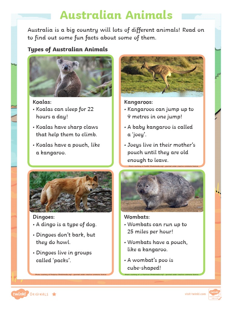 Australian Animals Reading Comprehension.205600330 | PDF | Koala ...