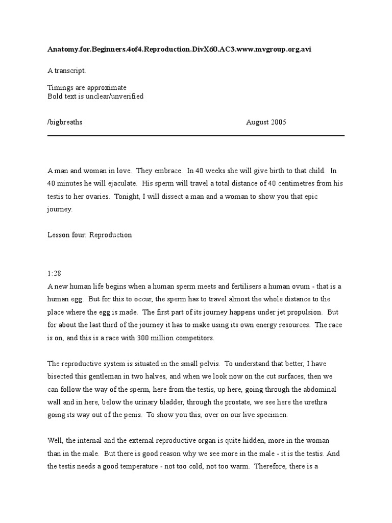 Anatomy For Beginners 4 - Reproduction | PDF | Prostate | Uterus