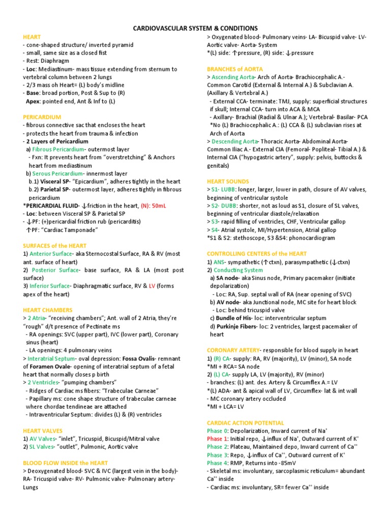 Cardiovascular System Overview and Conditions | PDF | Diastole | Heart