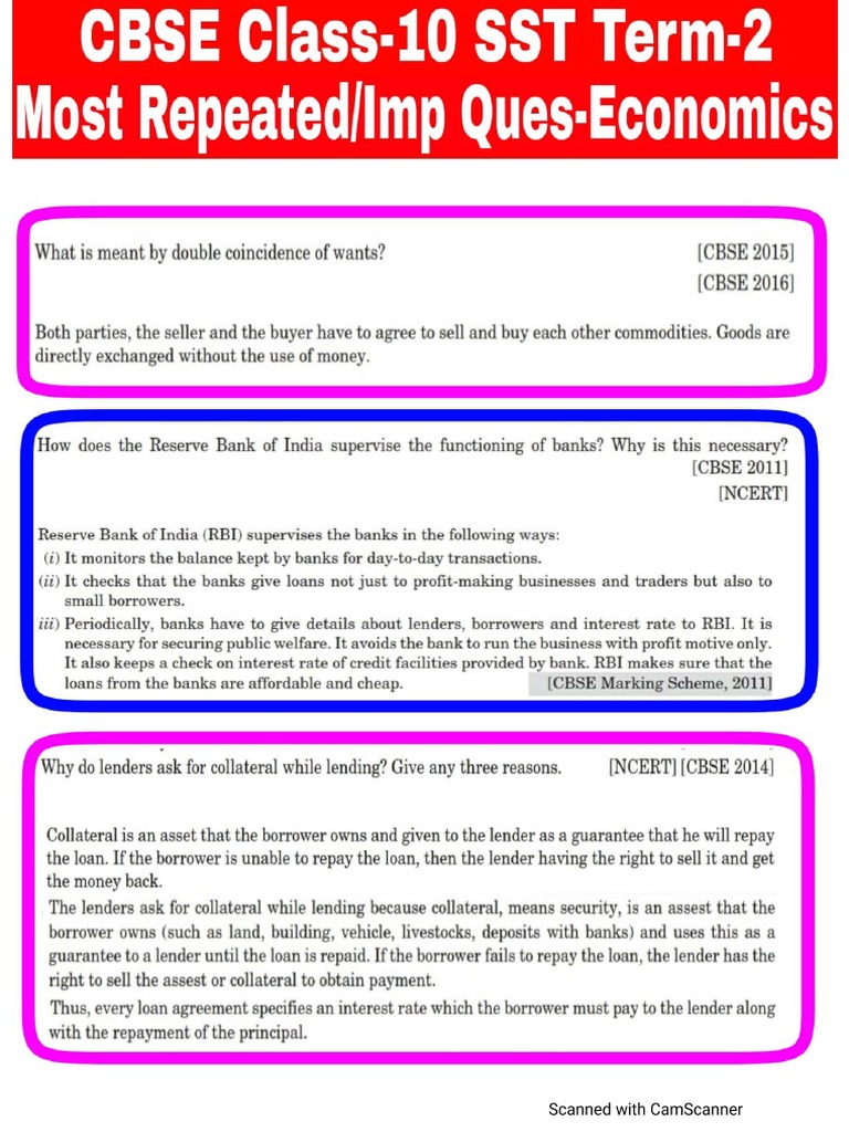 10th SST Very Imp Ques-Economics | PDF