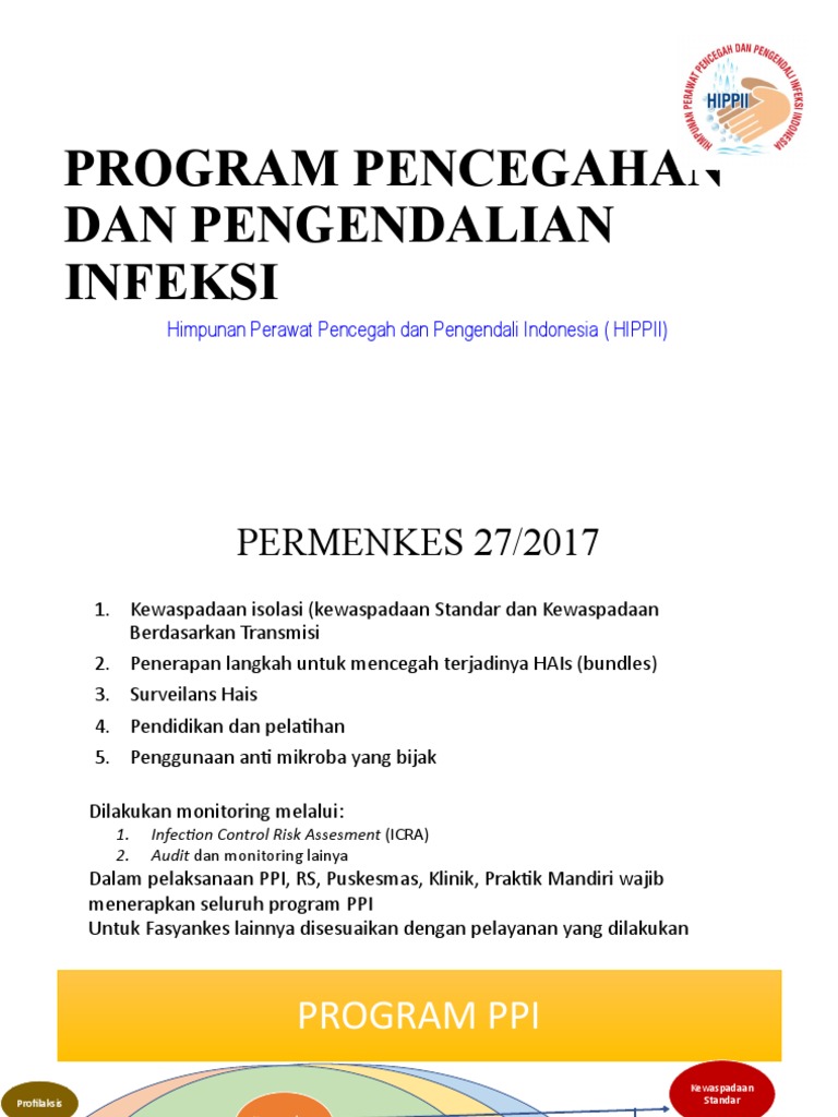 Program PPI | PDF