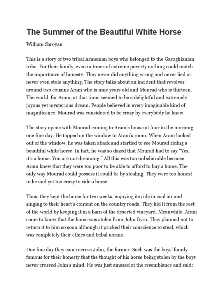 Notes - The Summer of The Beautiful White Horse | PDF