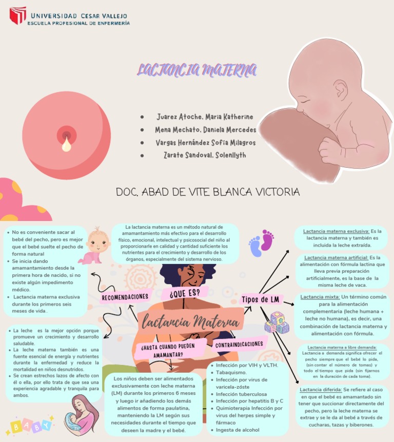 Lactancia Materna Pdf Amamantamiento La Leche Materna