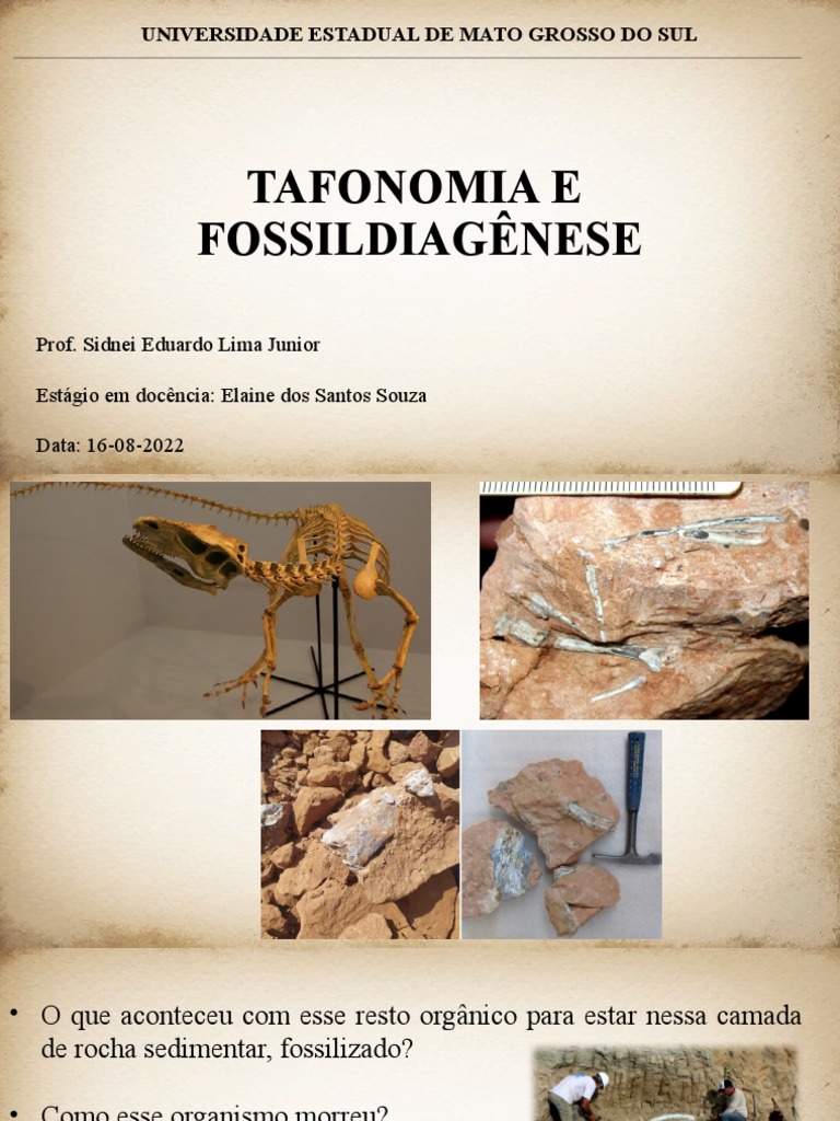 Aula 2 - Tafonomia e Fossildiagênese | PDF | Fóssil | Minerais