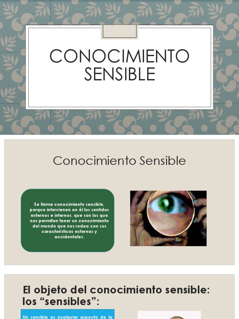 Conocimiento Sensible | PDF | Conocimiento | Percepción