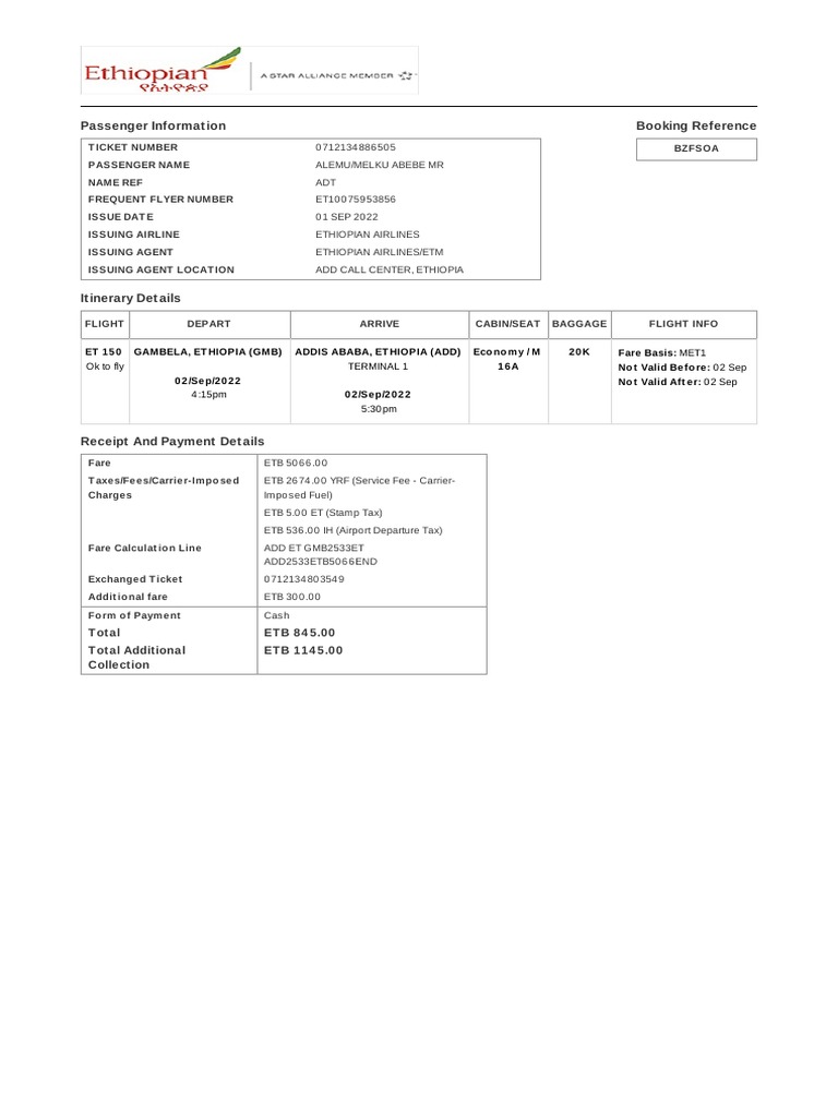 Flight Itinerary and Receipt for Melku Abebe's Travel from Gambela, Ethiopia to Addis Ababa ...