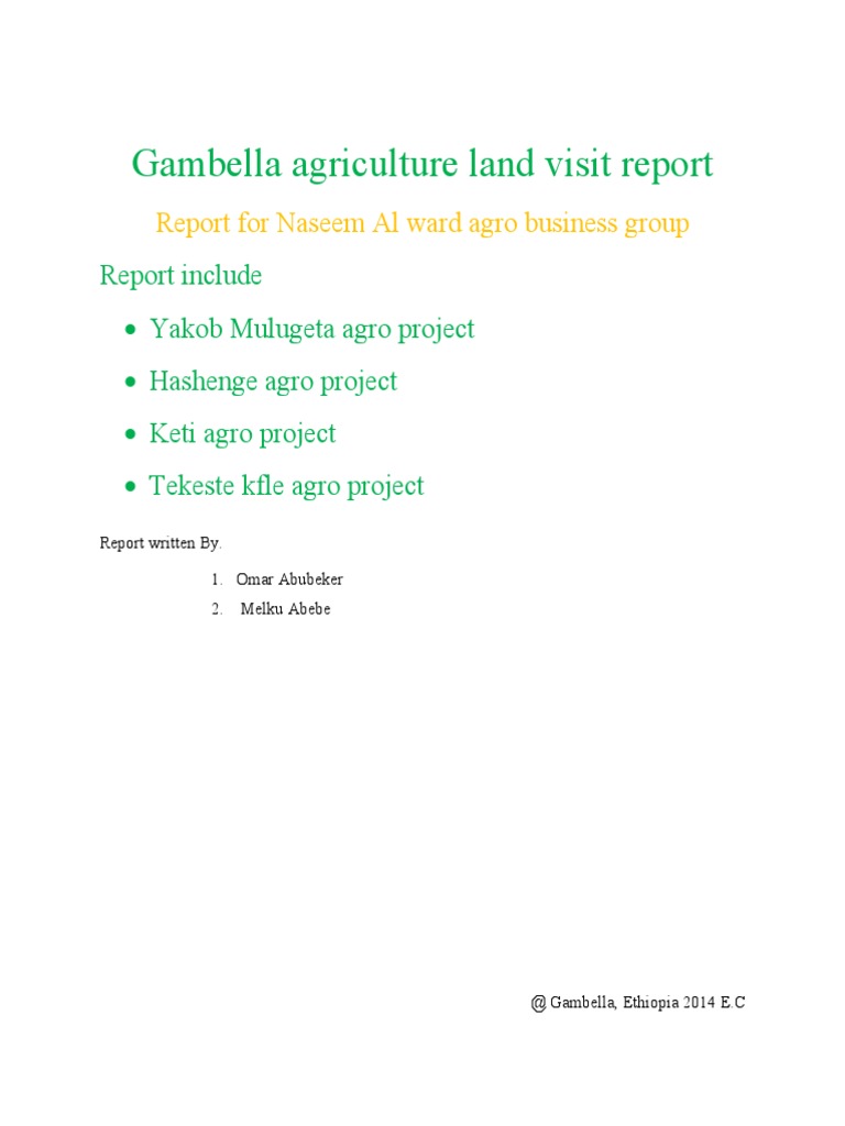 Gambella Agriculture Report | PDF | Agriculture | Food Industry