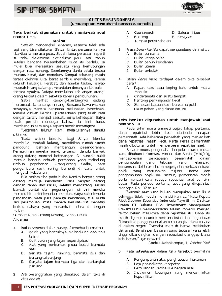01 TPS (Kemampuan Memahami Bacaan) B.indo | PDF