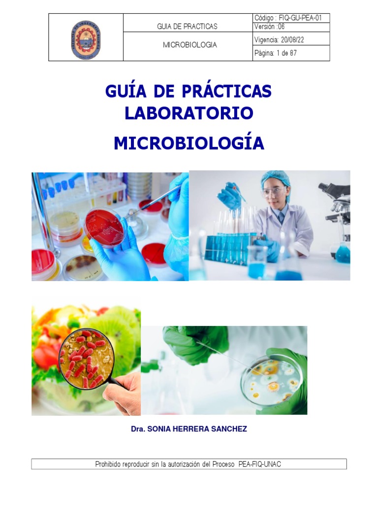 Guia de Practica de Microbiología-2022-B | Descargar gratis PDF | Esterilización (Microbiología ...