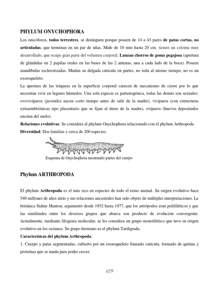 Clase Teoría Bio 213-4 Celomados Onycophora Artropoda Biodiversidad ...