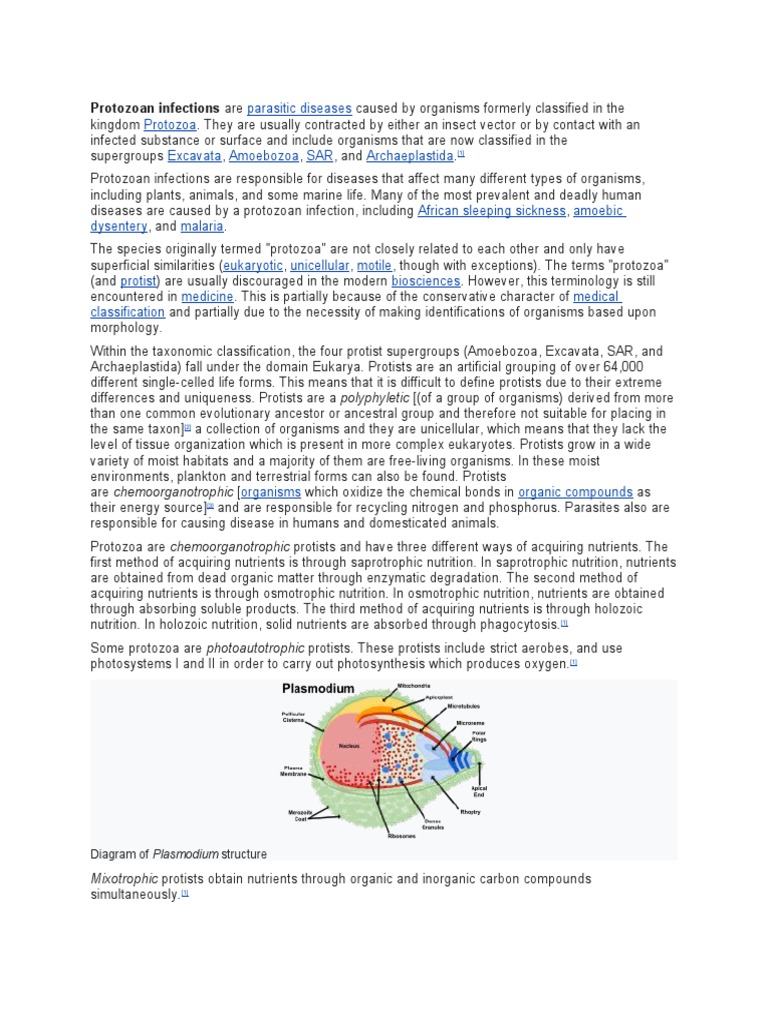 protozoare | PDF | Protozoa | Malaria