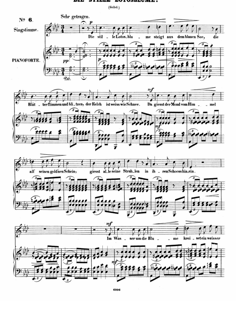 Die Stille Clara Schumann | PDF