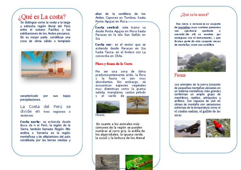 Qué Es La Costa | PDF | Andes | Perú