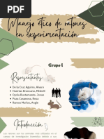 Anatomía y Cuidado de la Rata Wistar | PDF