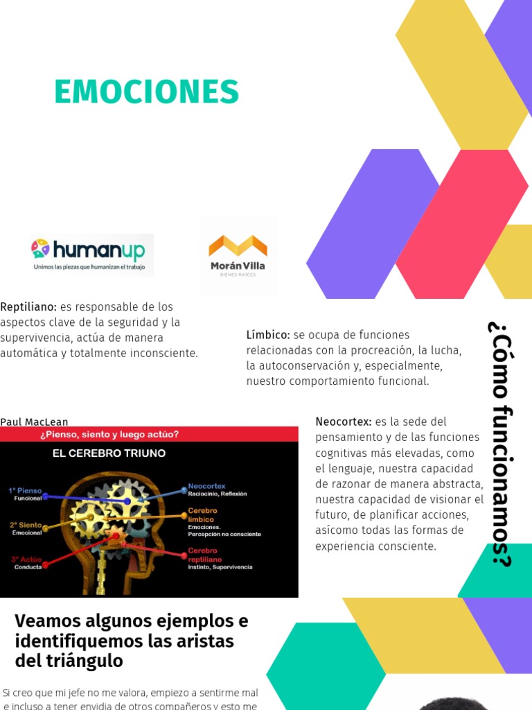 Liderazgo Y Emociones Descargar Gratis Pdf Las Emociones Pensamiento