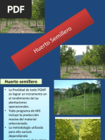 Endogamia y Heterosis | PDF | Endogamia | Siembra