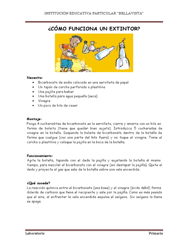 Experiment Os | PDF | Huevo como alimento | Agua