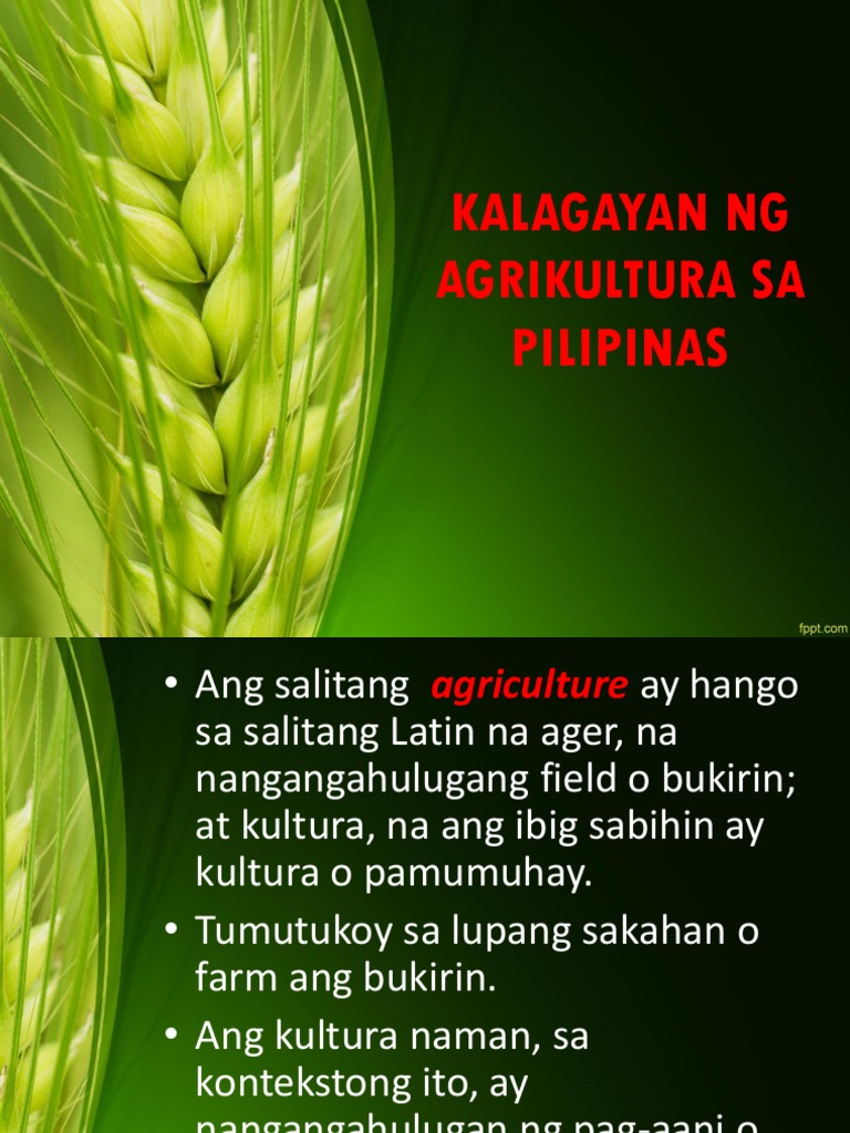 Ang Sektor NG Agrikultura | PDF