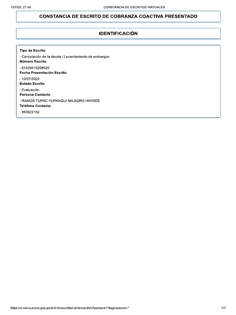 Constancia Carta | PDF