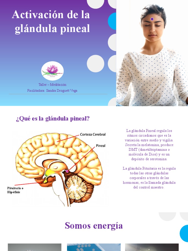 Activación de La Glándula Pineal | PDF