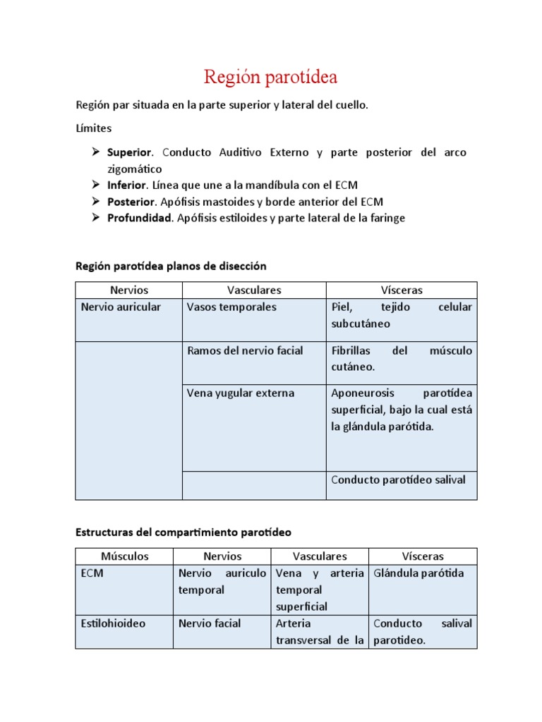 Región Parotídea | PDF | Órgano (anatomía) | Sistema musculoesquelético