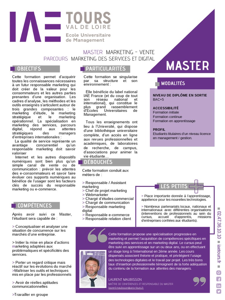 Plaquette Master MKG - MSD | PDF | Commercialisation | Business
