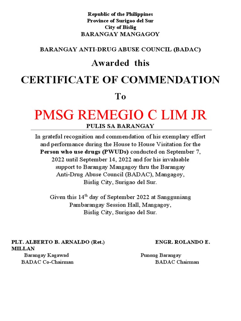Visitation - Cert Commendation BADAC Cert. of Commendation | PDF