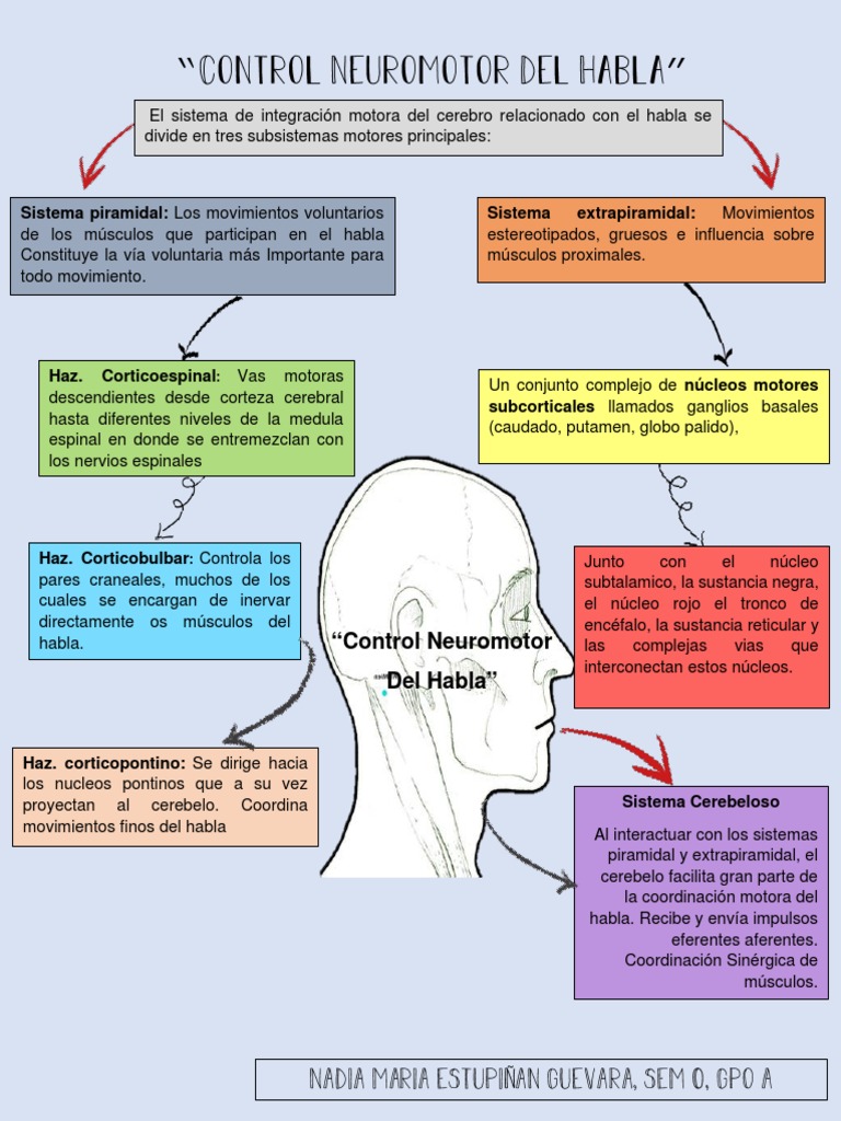 Control Neuromotor Del Habla Nadia Estupiñan Guevara Nadia Maria Sem 0 ...