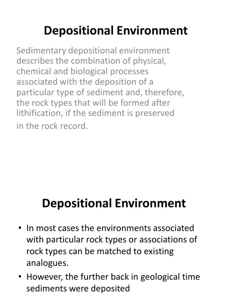 Depositional Environment | PDF