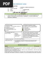 Sesion de Leemos Adivinanzas | PDF | Aprendizaje | Evaluación