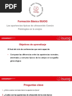 Niveles Axilares de Berg | PDF | Finanzas y dinero