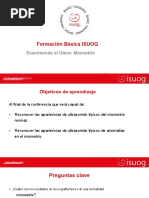 M2 Ecografía Ginecológica Básica ISUOG Español | PDF | Ultrasonido ...