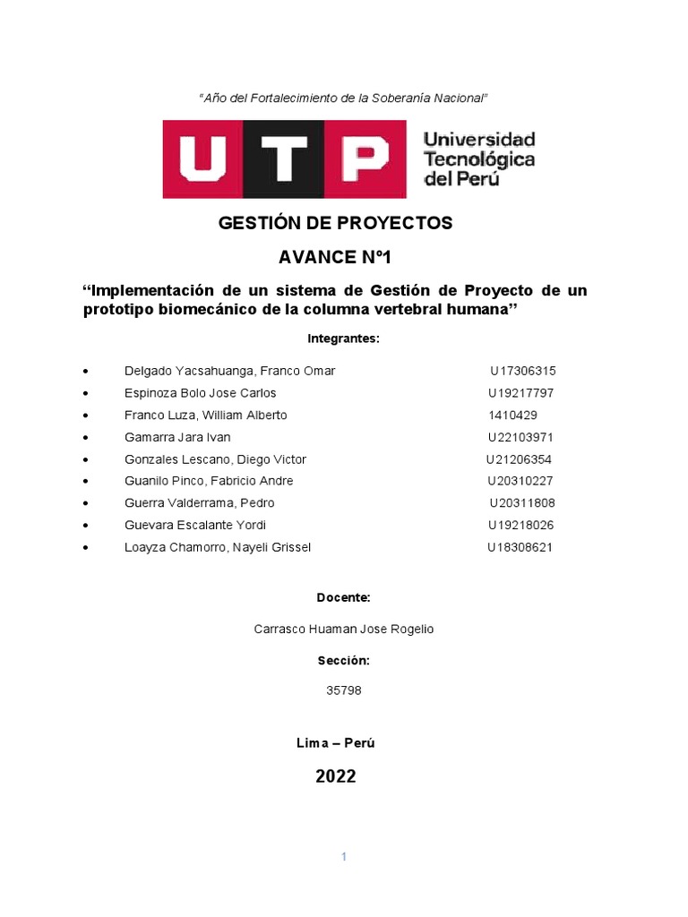 Avance N1 Gestion de Proyectos | PDF