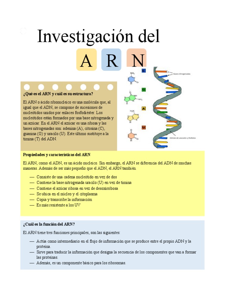 Investigacion de ARN | PDF