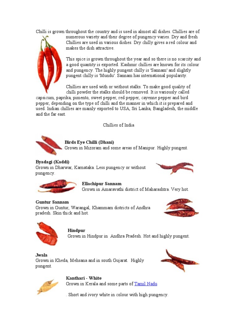 Chillies of India | PDF | Chili Pepper | Ginger