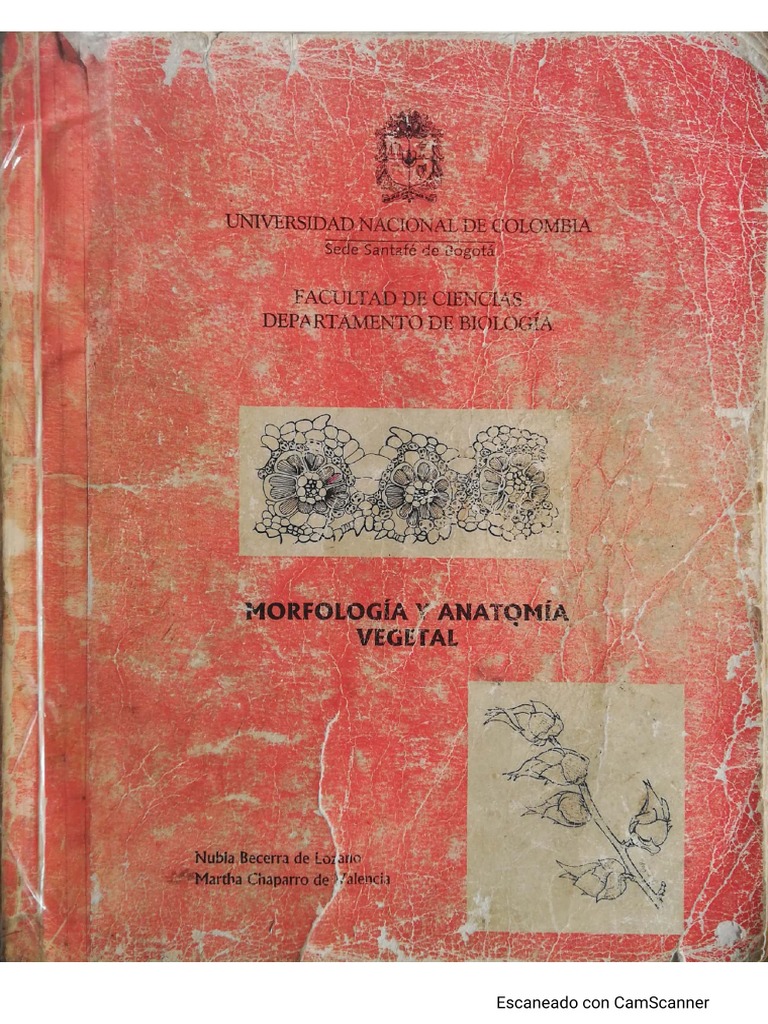 Morfología y Anatomía Vegetal. Becerra y Chaparro | PDF