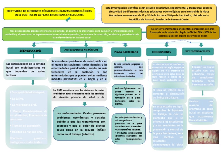 Mapa Conceptual. | PDF | Causas de la muerte | Medicina