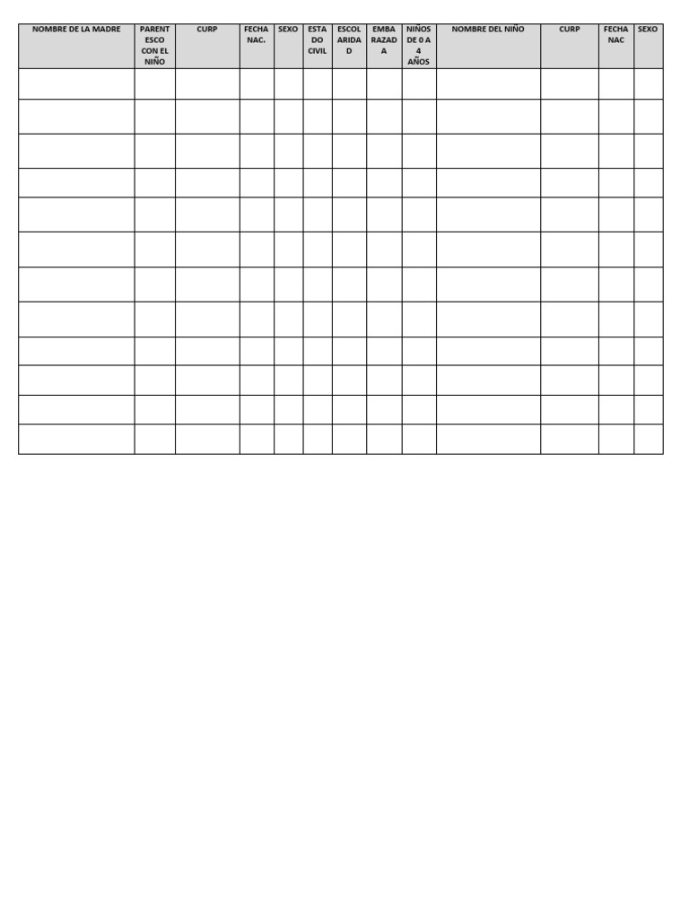 Formato Padron para Llenar | PDF