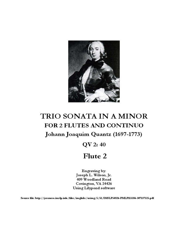 IMSLP403770-PMLP113386-Quantz Trio Sonata in A Minor - Flute 2 | PDF | Classical Music | Musical ...