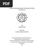 Schepelmann's Test for Thoracic Pain | PDF | Shoulder | Spinal Cord