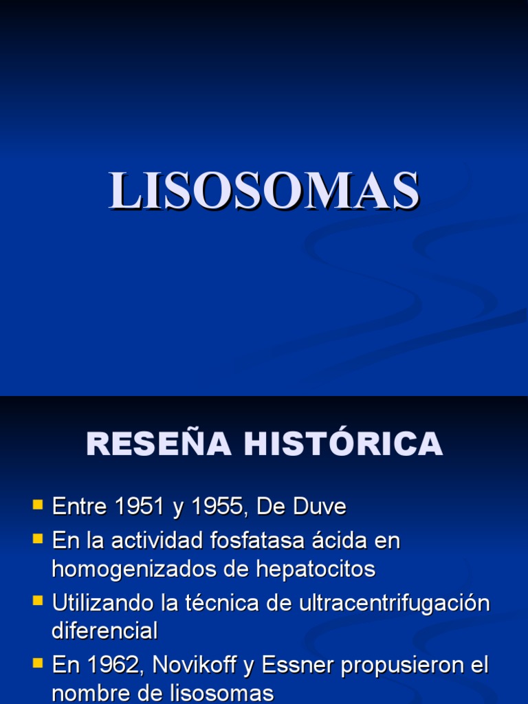 Lisosomas | PDF | Lisosoma | Membrana celular