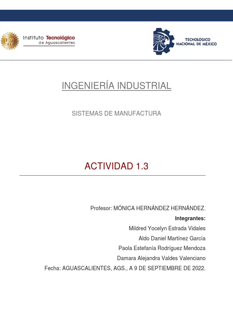 Activ. 1.4 Opex | PDF | Marketing | Lean Manufacturing