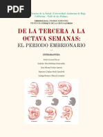 Desarrollo Embrionario III Neurulación | PDF | Anatomía | Biología del ...