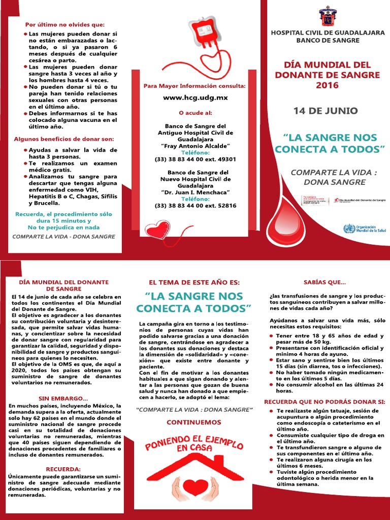 Triptico Completo Donacion Sangre | PDF